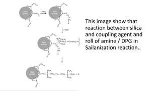 Function of the DPG for the silanization reaction.pptx