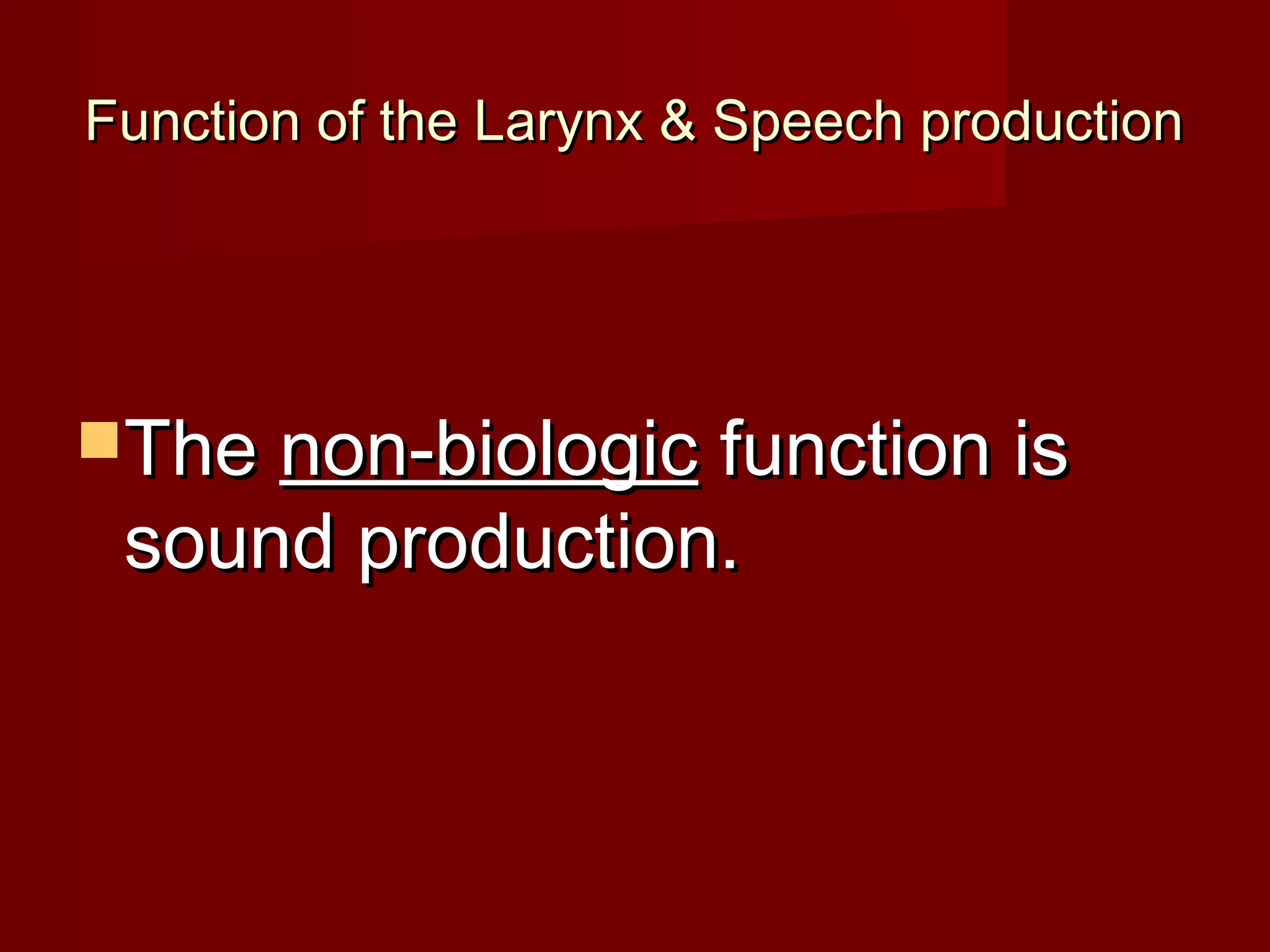 HIS 120 Function of the Larynx and Speech Production | PPT