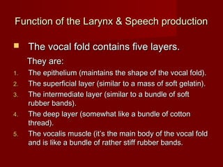 HIS 120 Function of the Larynx and Speech Production | PPT