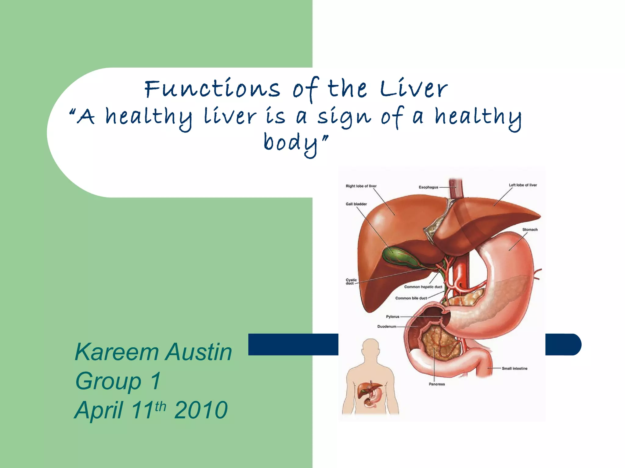 Function of the liver | PPT