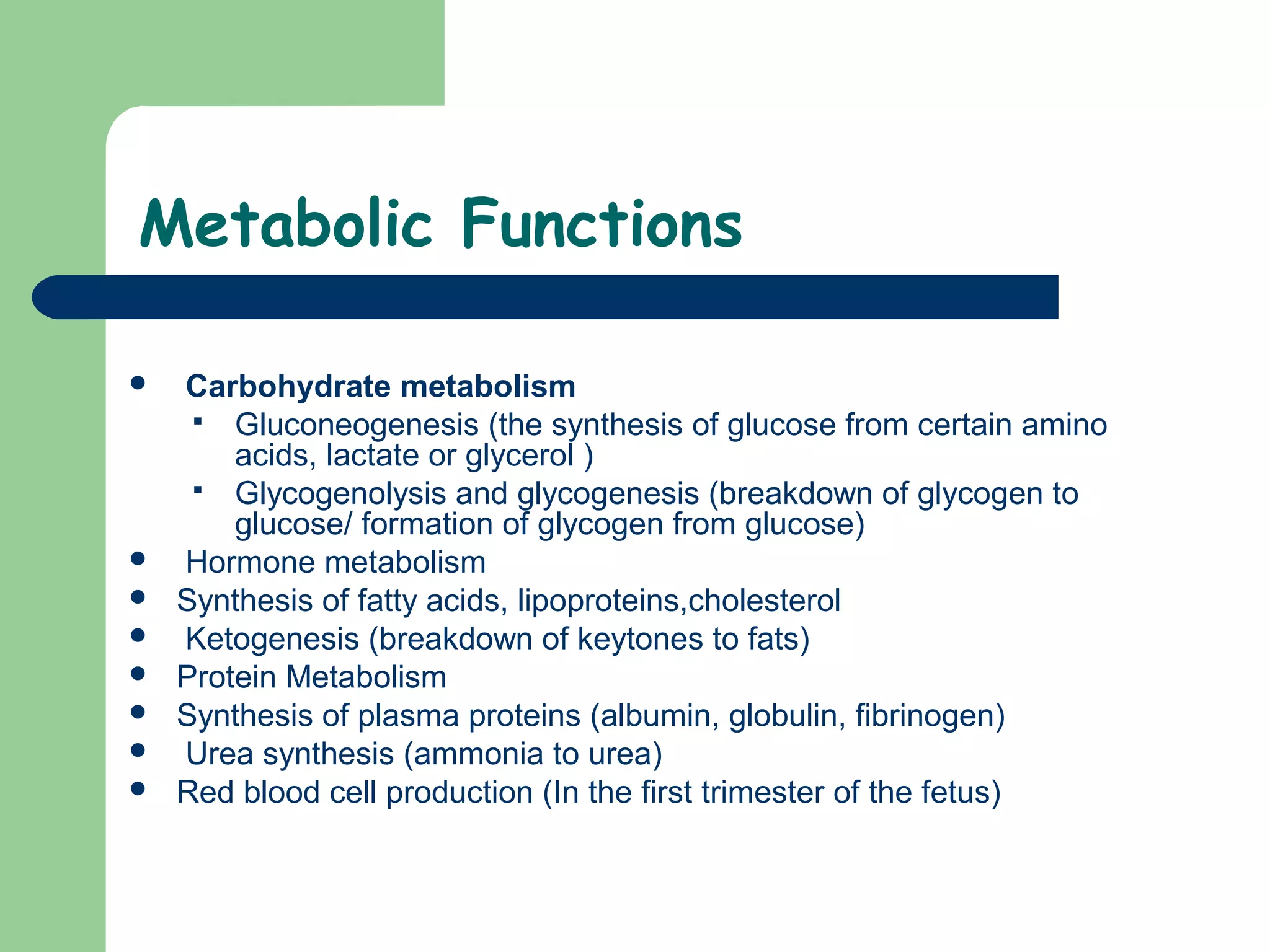 Function of the liver | PPT