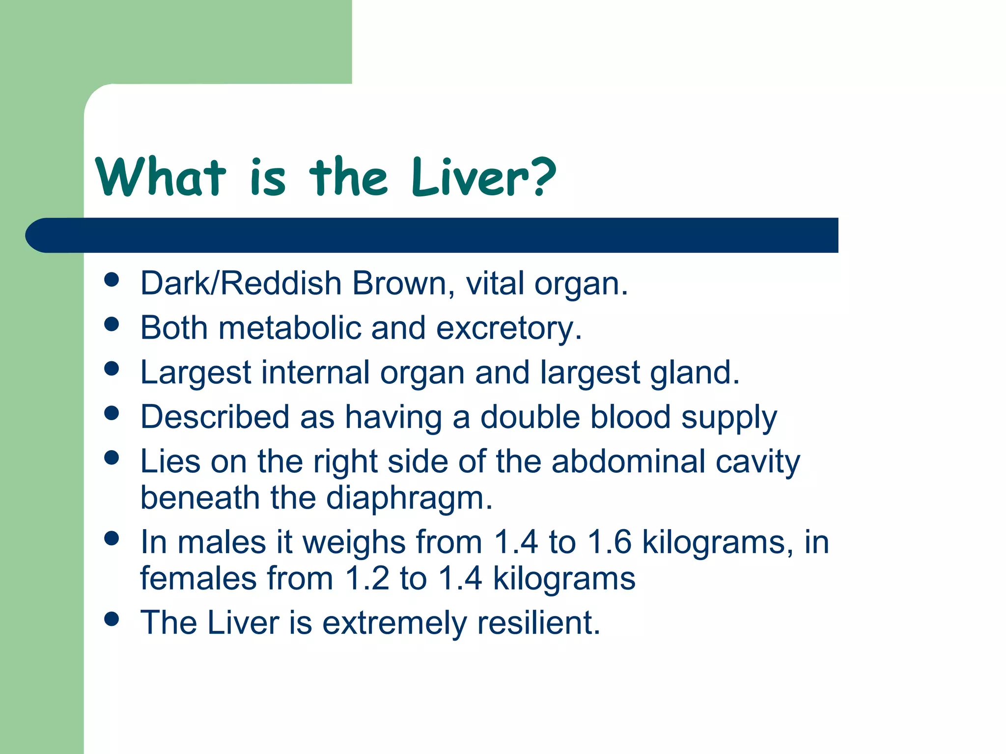 Function of the liver | PPT