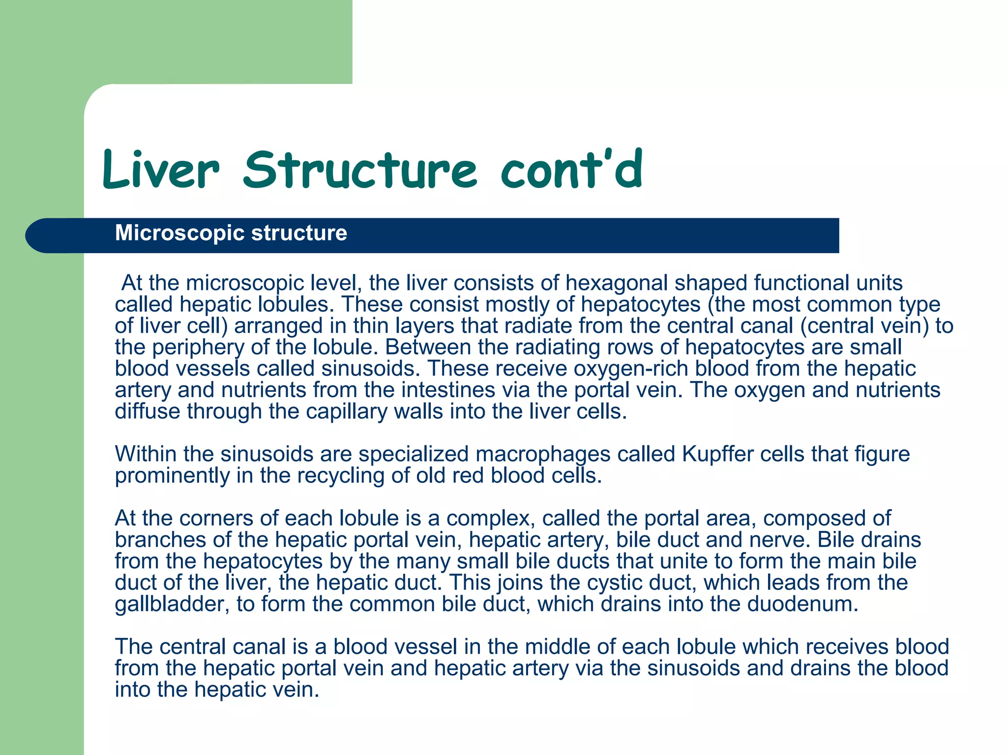 Function of the liver | PPT