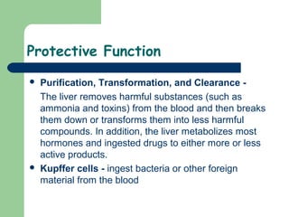 Function of the liver | PPT