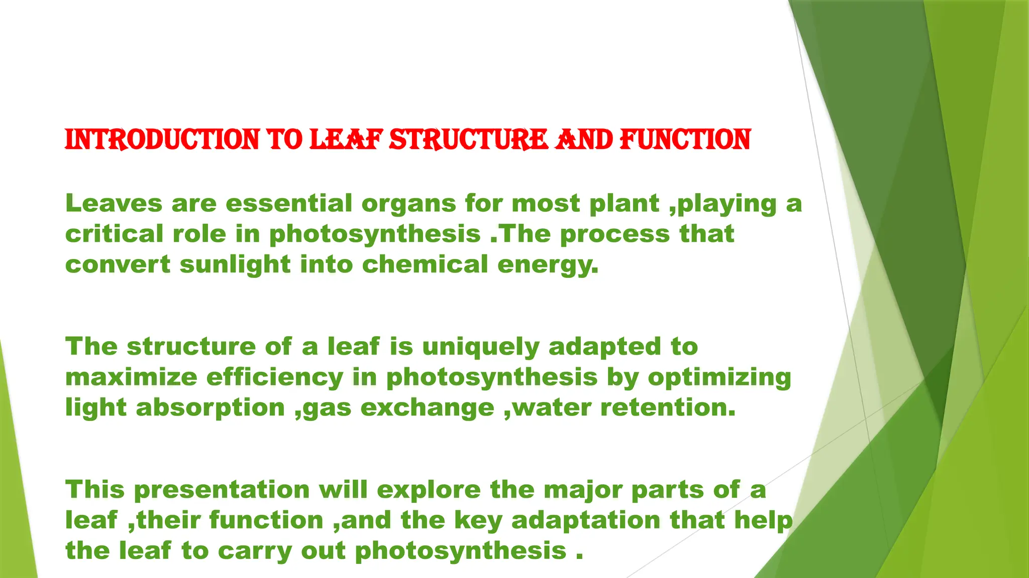 FUNCTION OF THE PART OF LEAVESODF PLANT | PPTX
