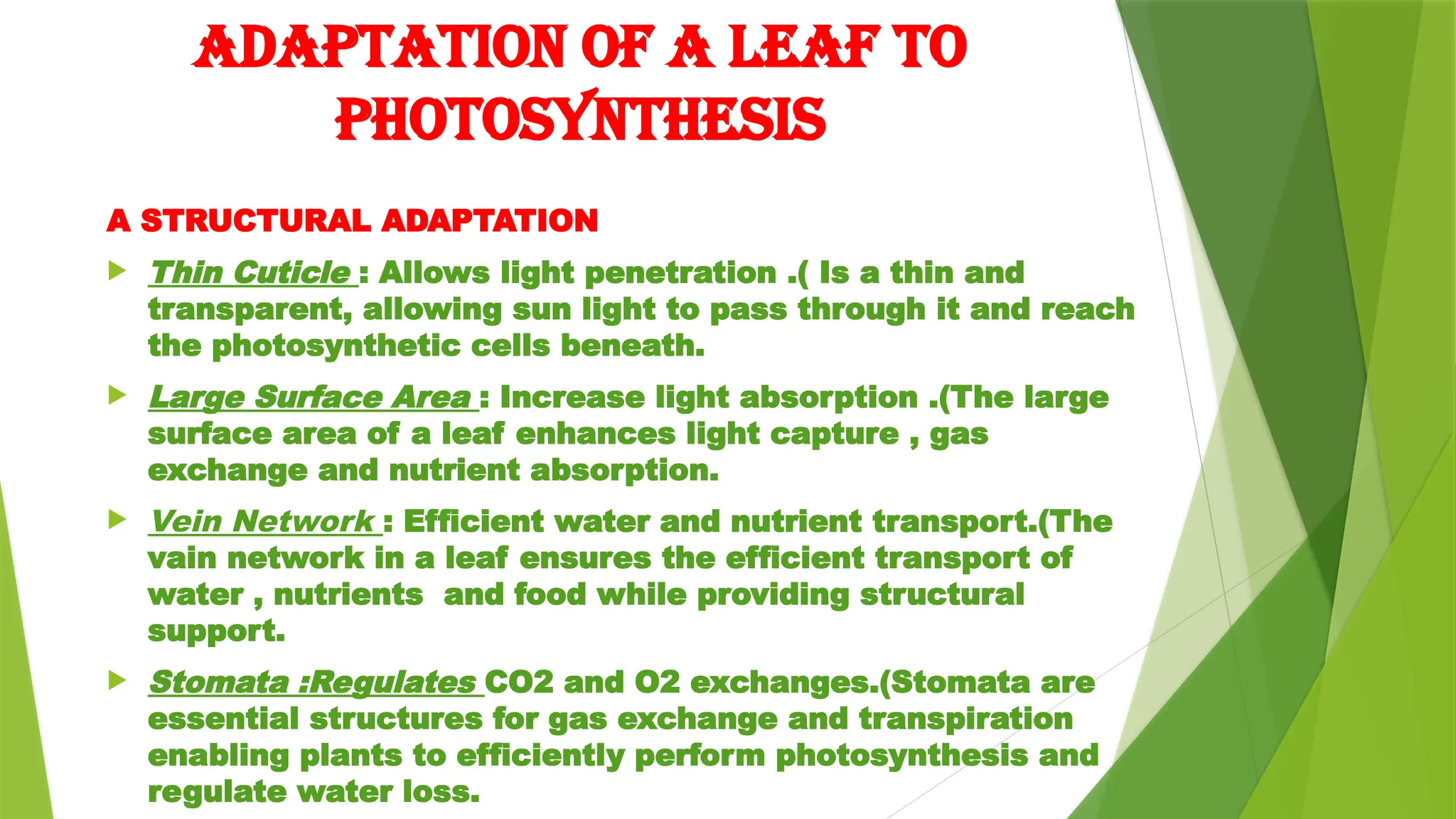 FUNCTION OF THE PART OF LEAVESODF PLANT | PPTX