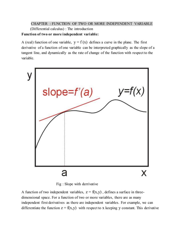 Function of two or more independant variable | DOCX