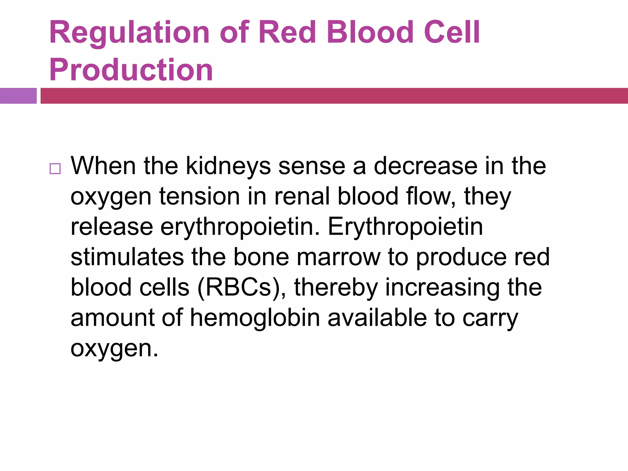 Function/physiology of genitourinary system | PPTX