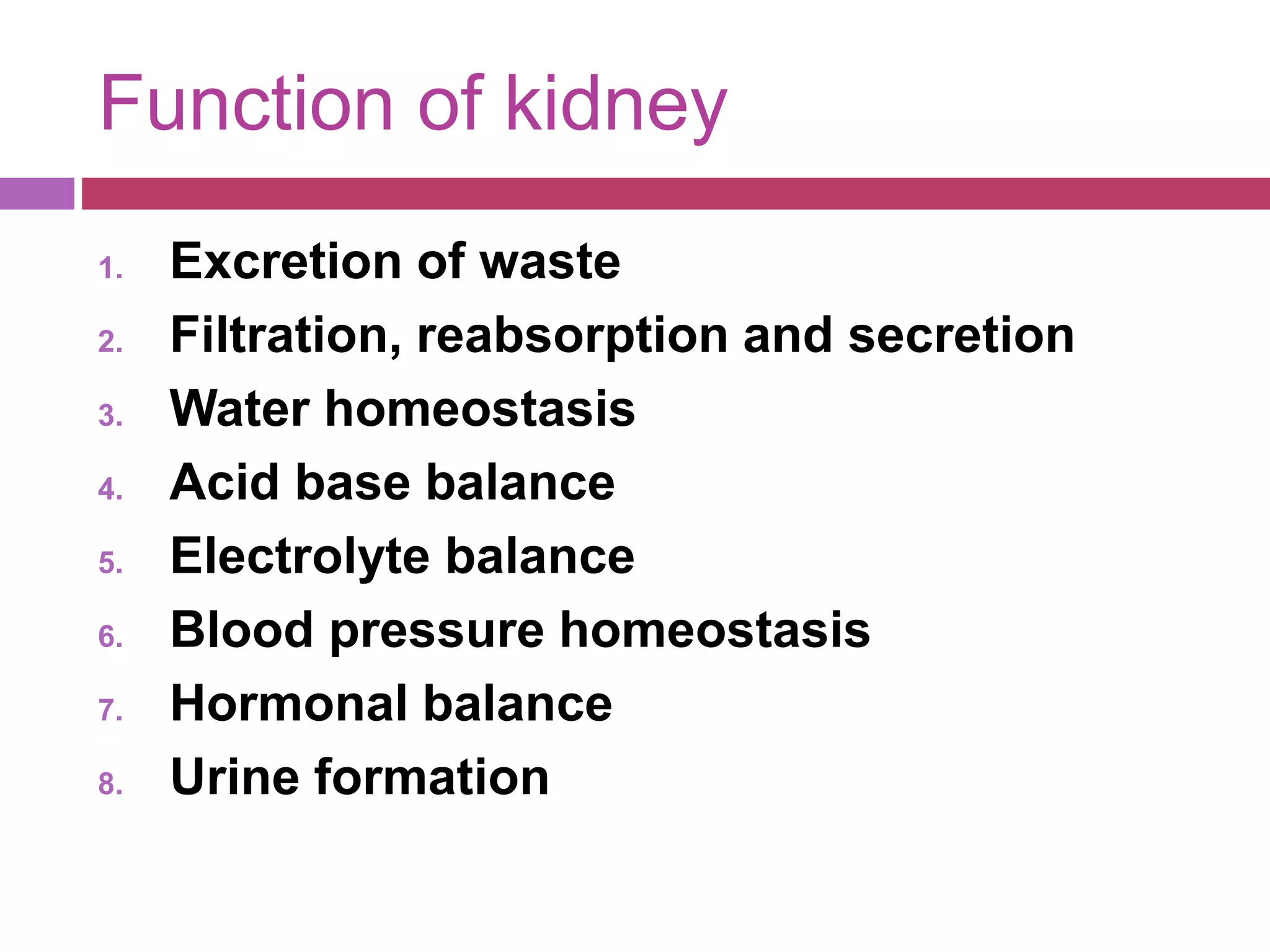 Function/physiology of genitourinary system | PPTX