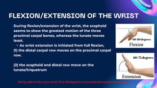 Function of wrist complex.pptx