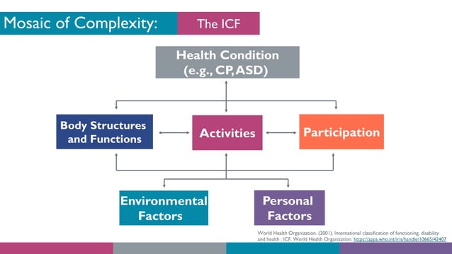 Functionomics -The International Classification of Functioning ...