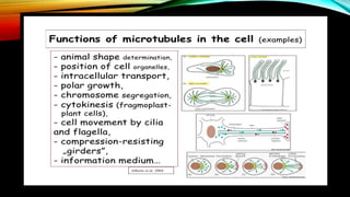 Functions of cell components. | PPTX