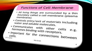Functions of cell components. | PPT