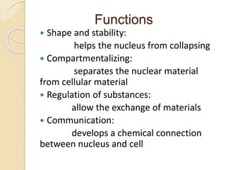 Functions of nucleus | PPTX