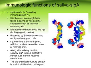 Functions of Saliva.pptx