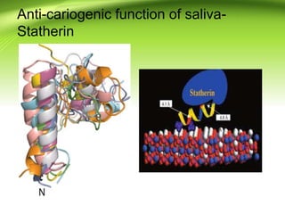 Functions of Saliva.pptx