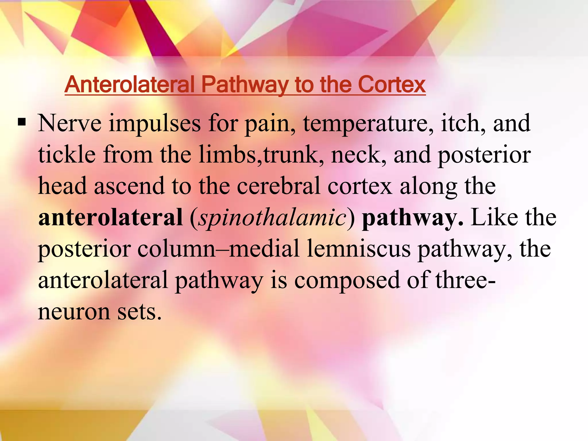 Functions and ascending tract of spinal cord | PPTX