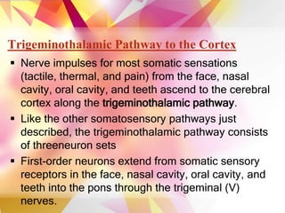 Functions and ascending tract of spinal cord | PPTX