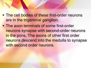 Functions and ascending tract of spinal cord | PPTX