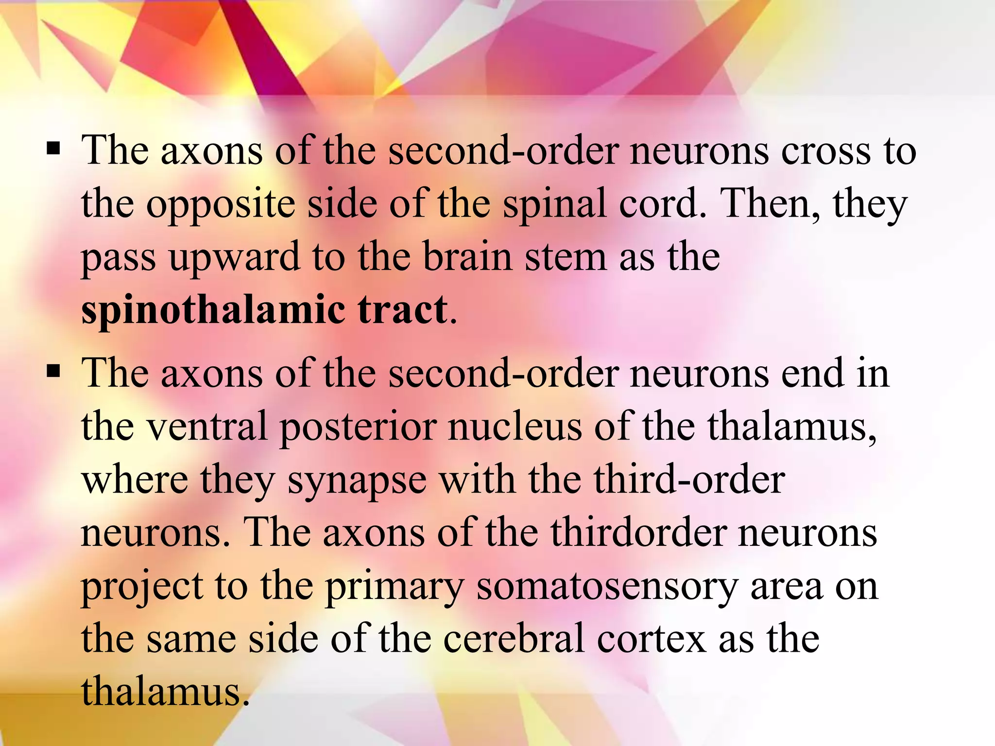 Functions and ascending tract of spinal cord | PPTX