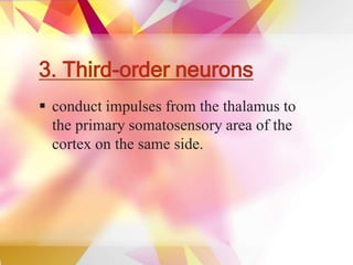 Functions and ascending tract of spinal cord | PPTX
