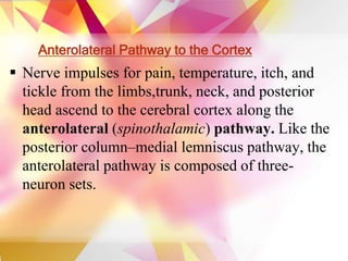 Functions and ascending tract of spinal cord | PPTX