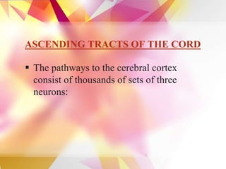 Functions and ascending tract of spinal cord | PPTX