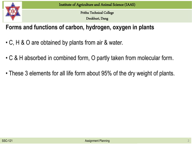 Functions of Carbon, Hydrogen and Oxygen | PPTX