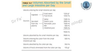 Functions and Disorders of Small Intestine | PDF