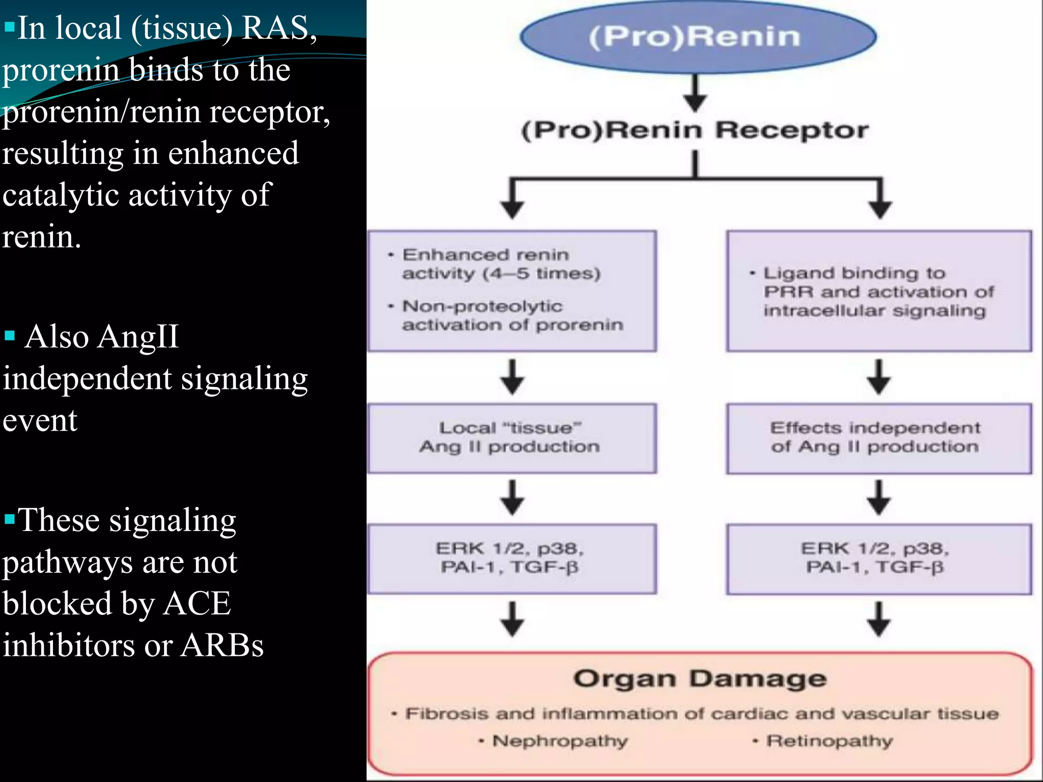 Functions and effects of ras and drugs affecting | PPTX