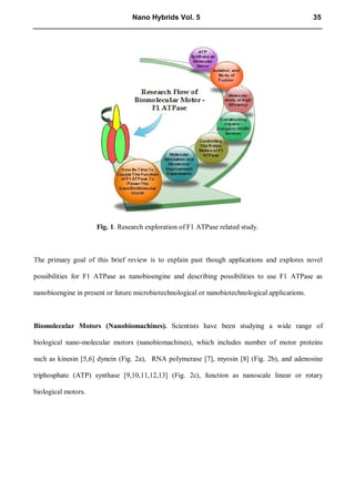 Functions and Future Applications of F1 ATPase as Nanobioengine ...