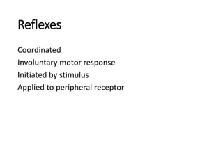 Functions and properties of synapse, reflex | PPTX