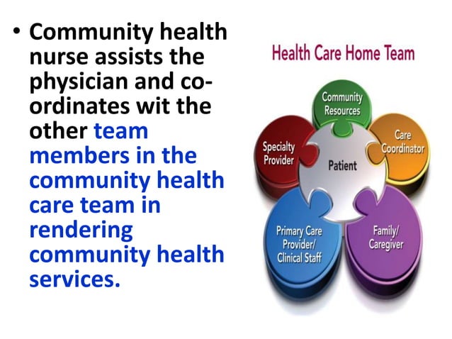 A COMMUNITY HEALTH NURSE | PPT