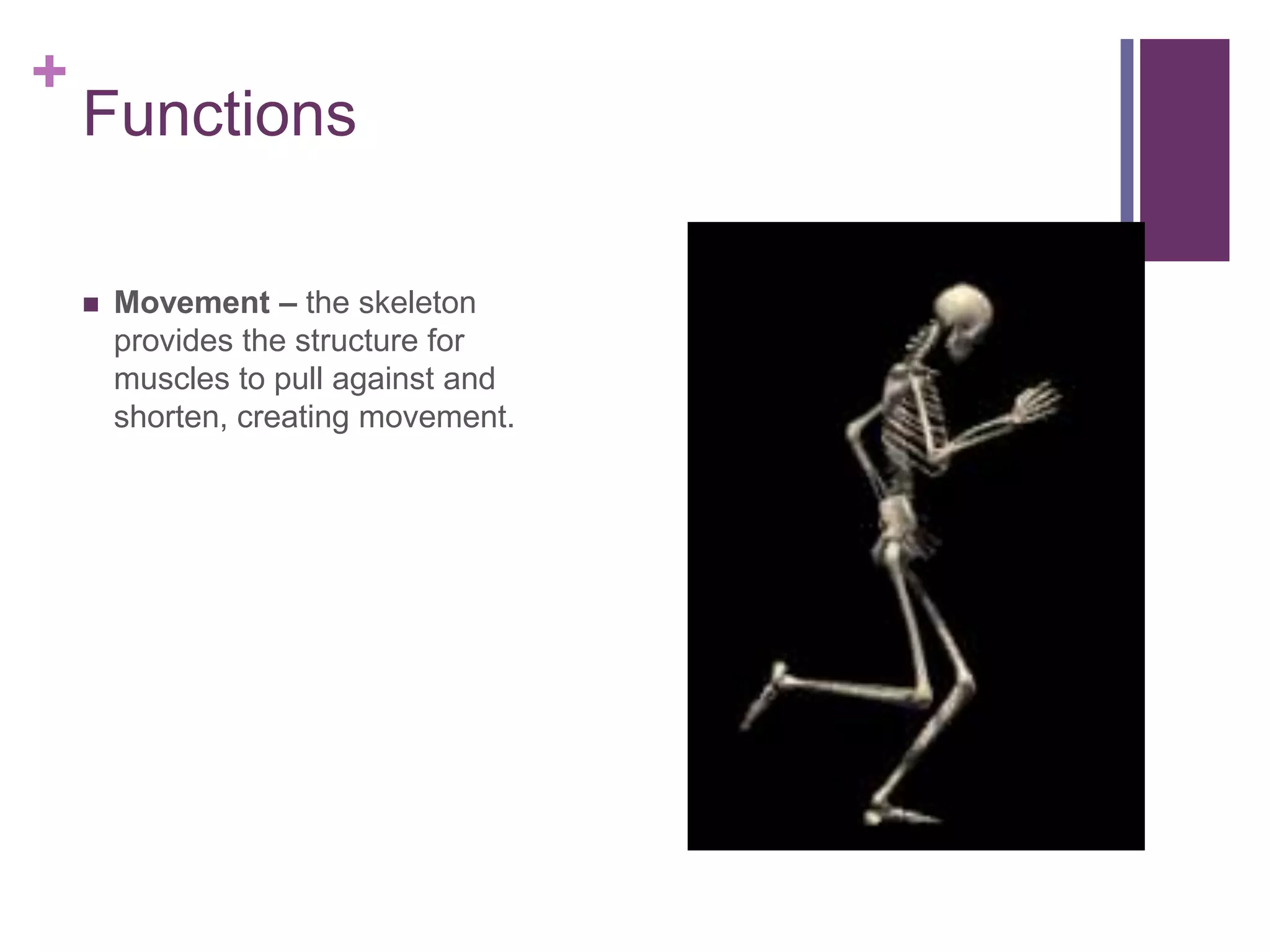 Functions and types of bones | PPTX