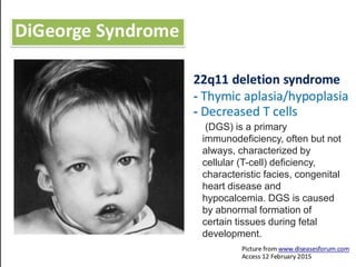 Functions, comparative structures and congenital defects | PPT