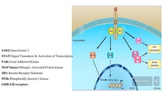 Functions and control of anterior pituitary, and Growth hormone. | PPTX