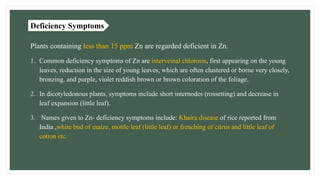 FUNCTIONS & DEFICIENCY SYMPTOMS.pptx