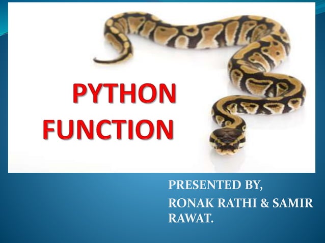 python Function