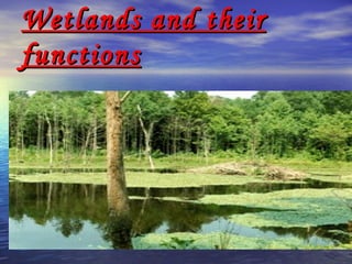 Functions of Wetlands by Jacob | PPT