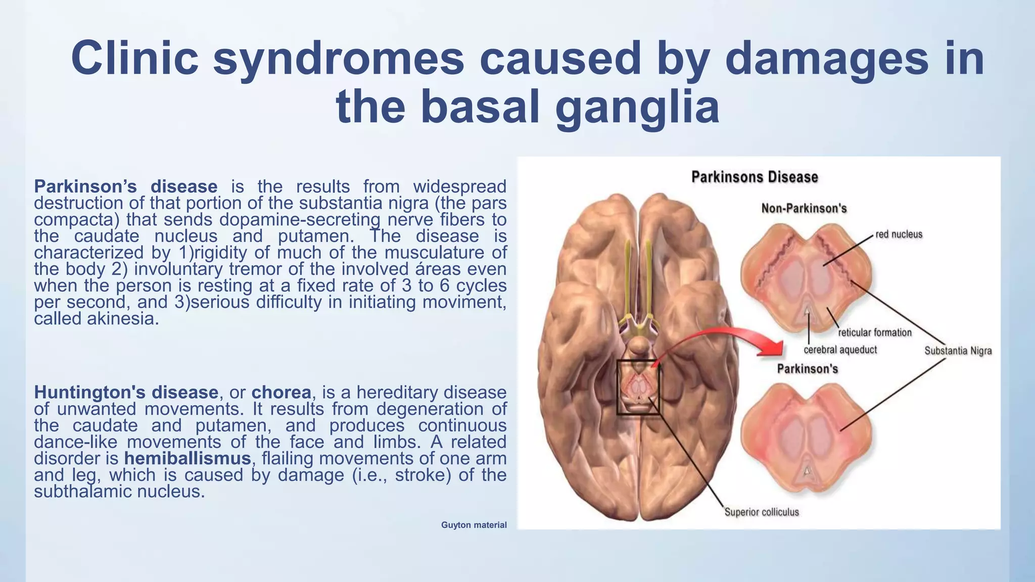 Functions of basal ganglia thalamus limbic system and central cortex | PPTX
