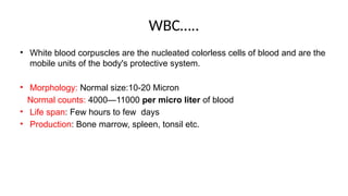 Functions of blood formed elementss.pptx