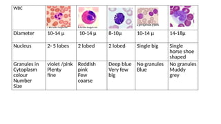 Functions of blood formed elementss.pptx | Free Download