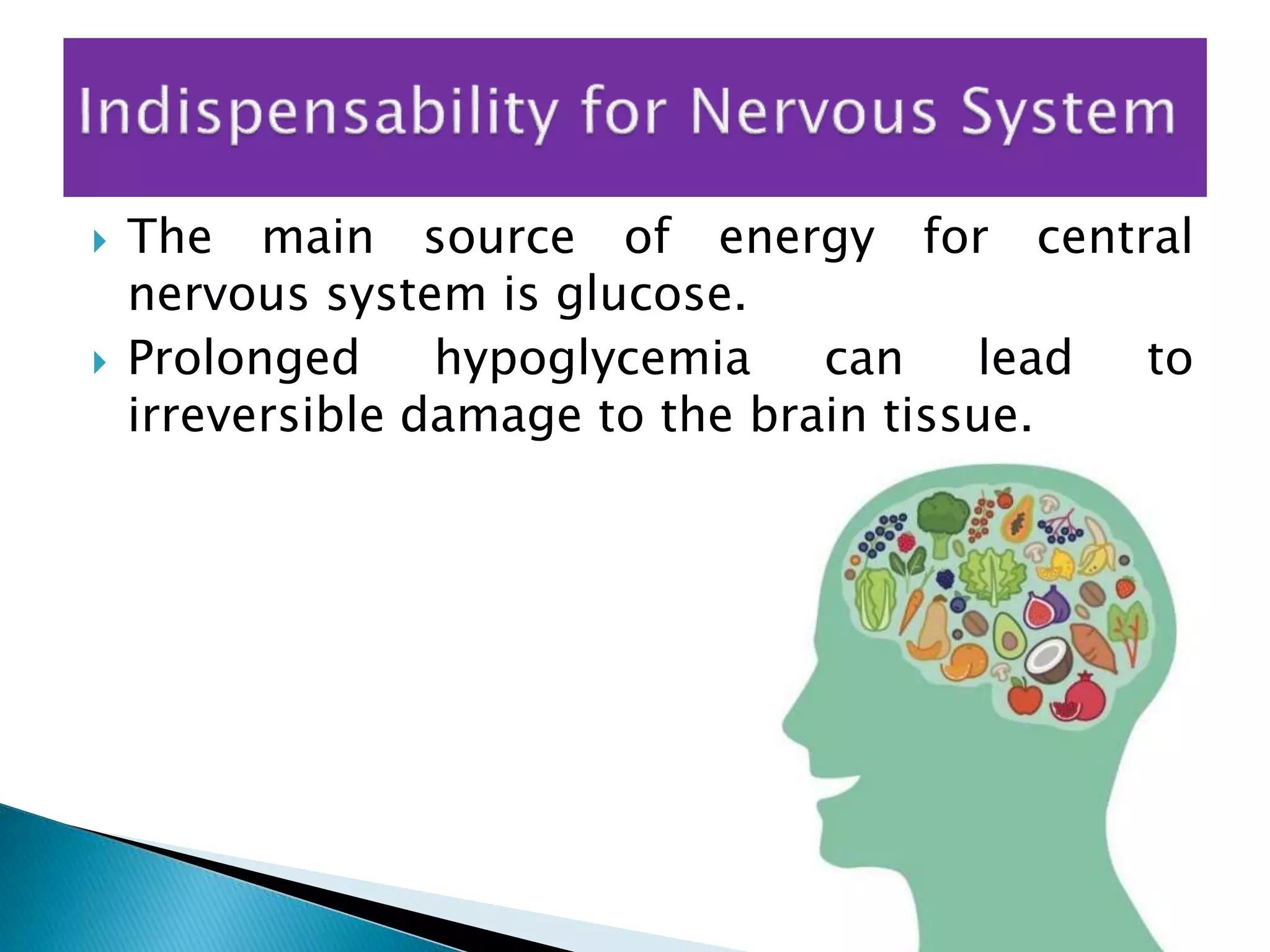 Functions of carbohydrates | PPTX