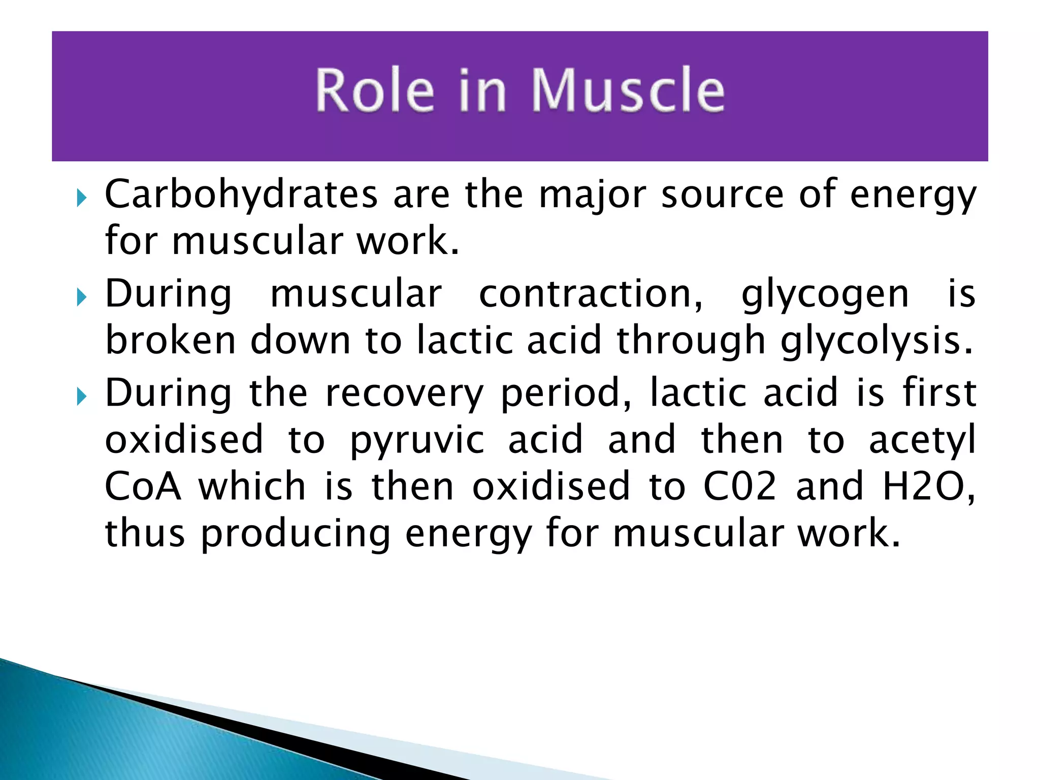 Functions of carbohydrates | PPTX