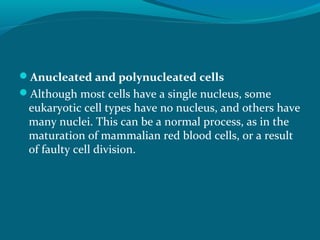 Functions of cell organelles | PPT
