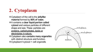 Functions of cell organells nursery | PPTX