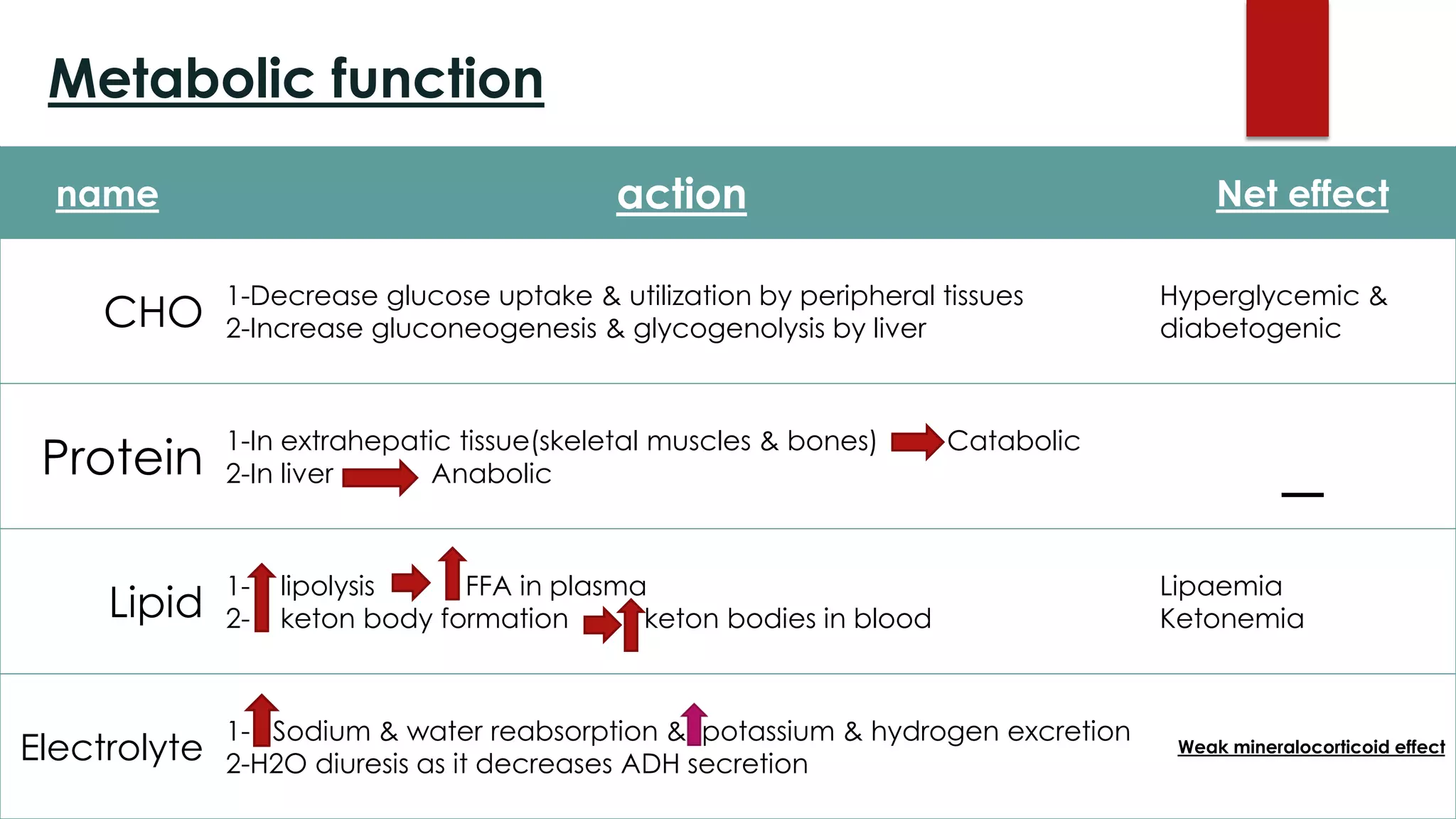 Functions of cortisol | PDF