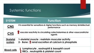 Functions of cortisol | PDF