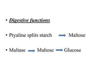 Functions of Digestive system physiology.pdf