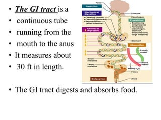 Functions of Digestive system physiology.pdf